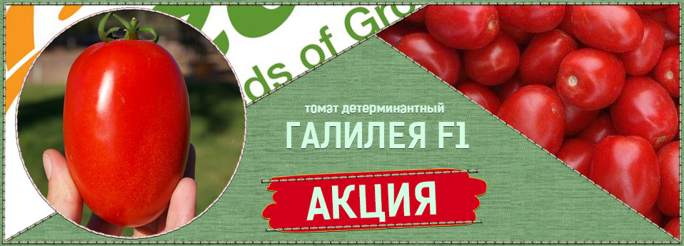 Семена почтой и оптом купить в Украине — интернет магазин семян «Фермер