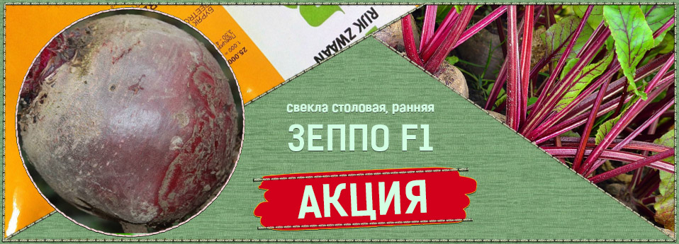 Семена почтой и оптом купить в Украине — интернет магазин семян «Фермер