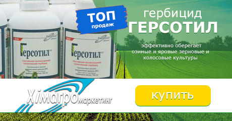 Семена почтой и оптом купить в Украине — интернет-магазин семян «Фермер ...